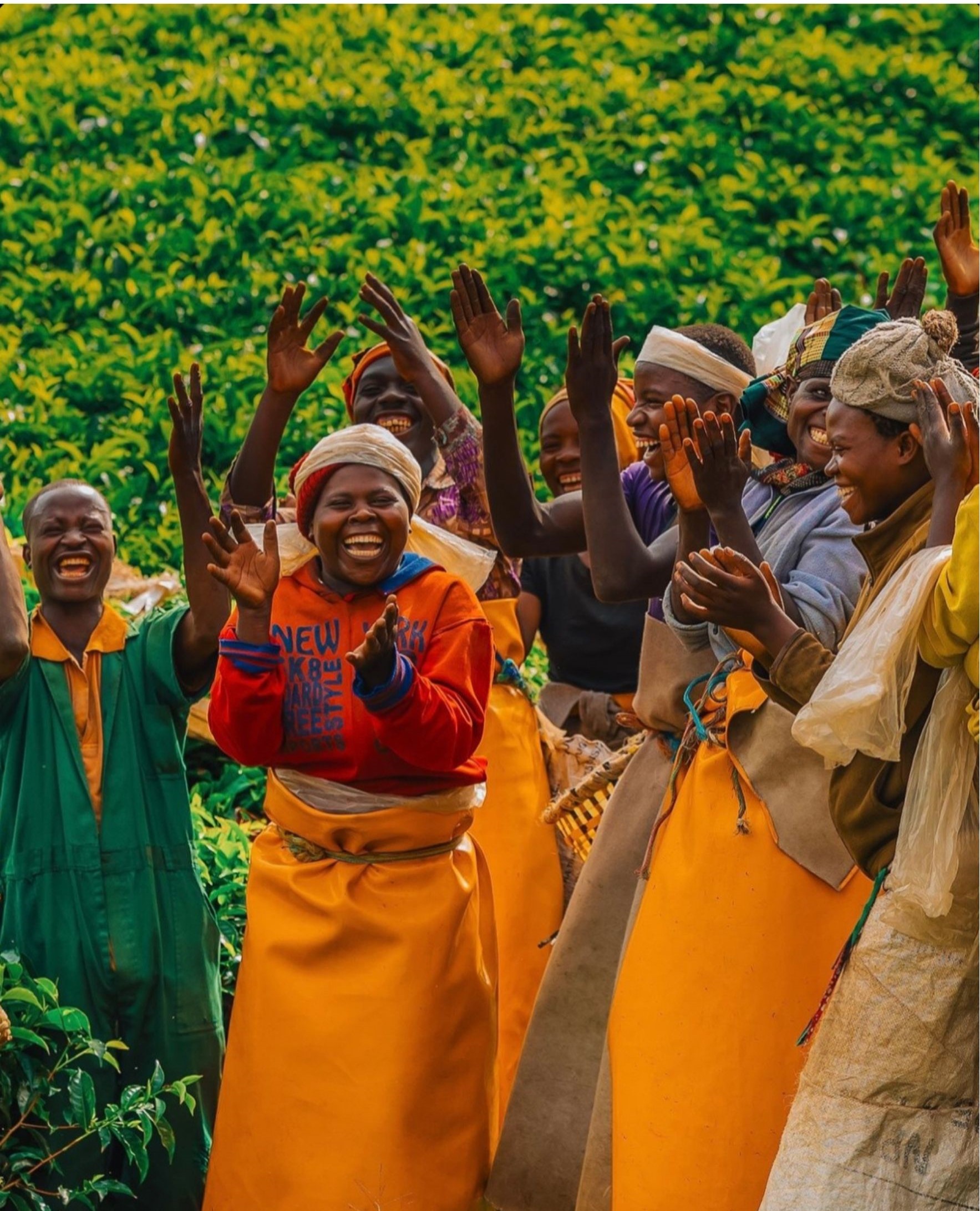 Southern Europe – Regal Sunset